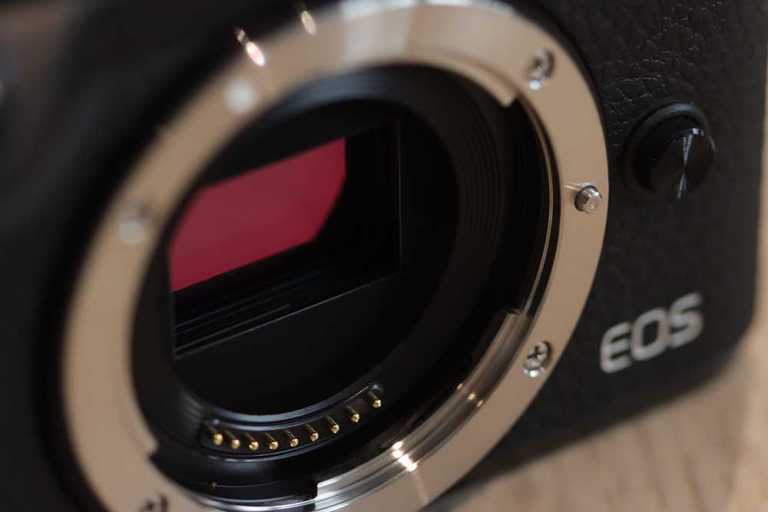 Mein erster Canon EOS 90D Test - Ruben Schäfer Bloggt